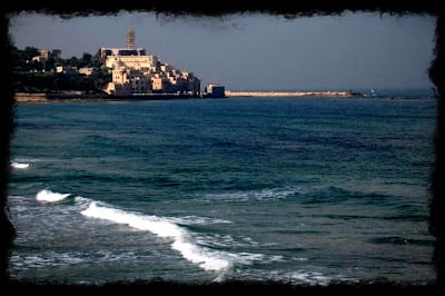 Joppa and the Long Highway - Wayne Stiles