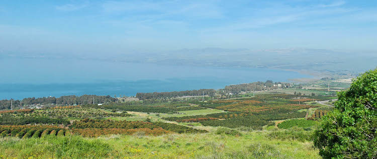 3 Golan Heights Sites—Gamla, Rogem Hiri, and Tel Hadar