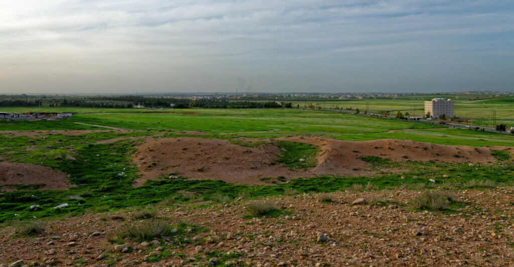 Cities of Refuge - Where to Run When You’ve Done Nothing Wrong - Wayne ...